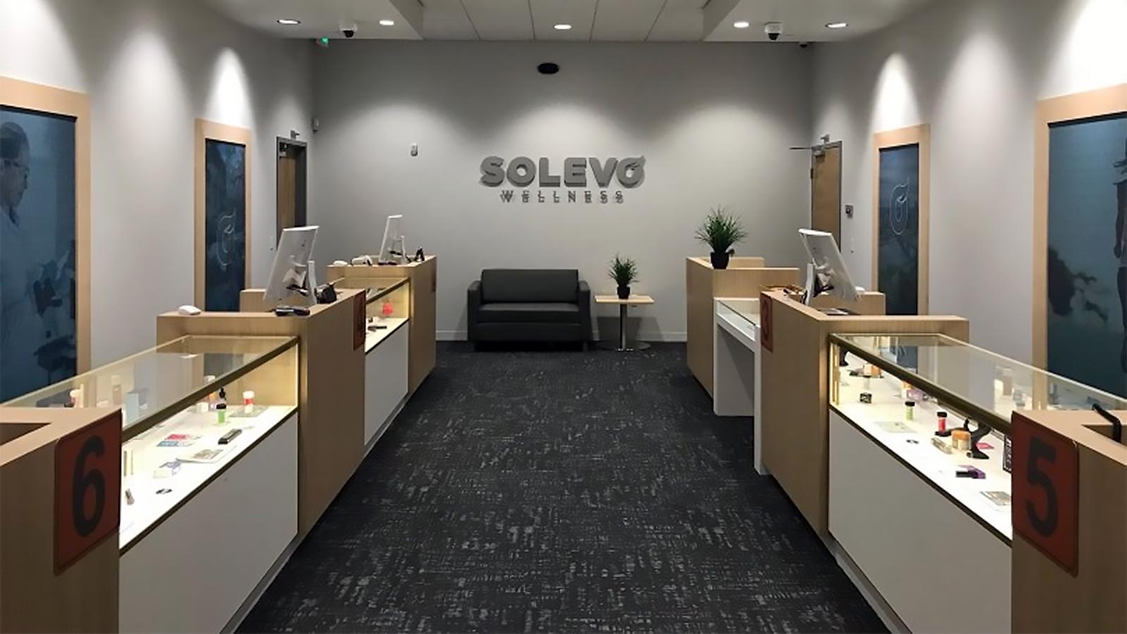 Solevo Wellness – Cranberry - Calypso Enterprises