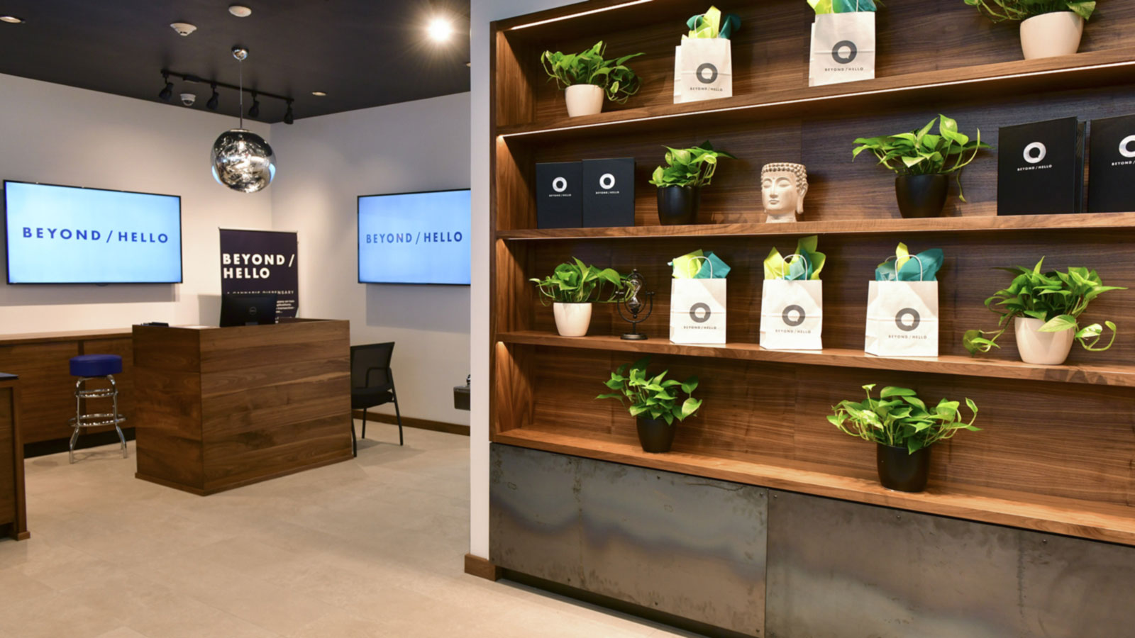 Beyond / Hello - Bristol - Calypso Enterprises